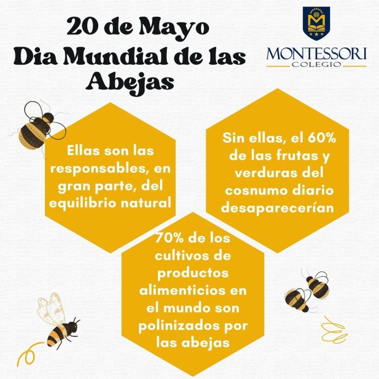20 de Mayo: Día Mundial de las Abejas – Colegio Montessori de Temuco