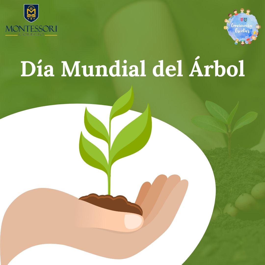28 de Junio: Día Mundial del Árbol – Colegio Montessori de Temuco