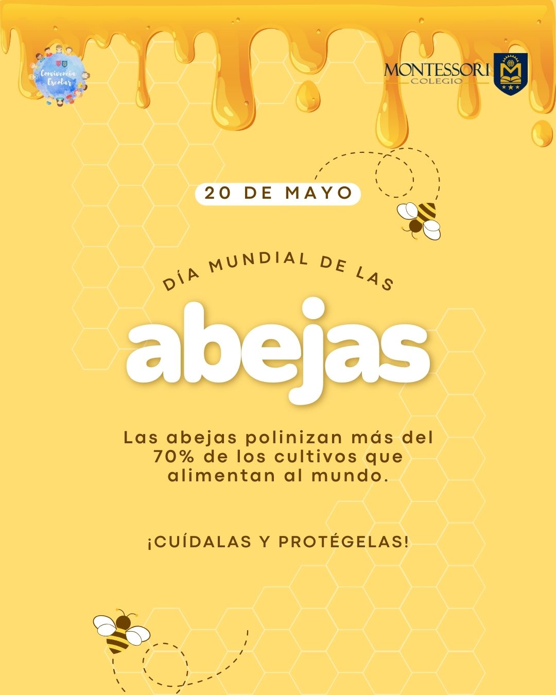 20 de Mayo: Día Mundial de las Abejas – Colegio Montessori de Temuco