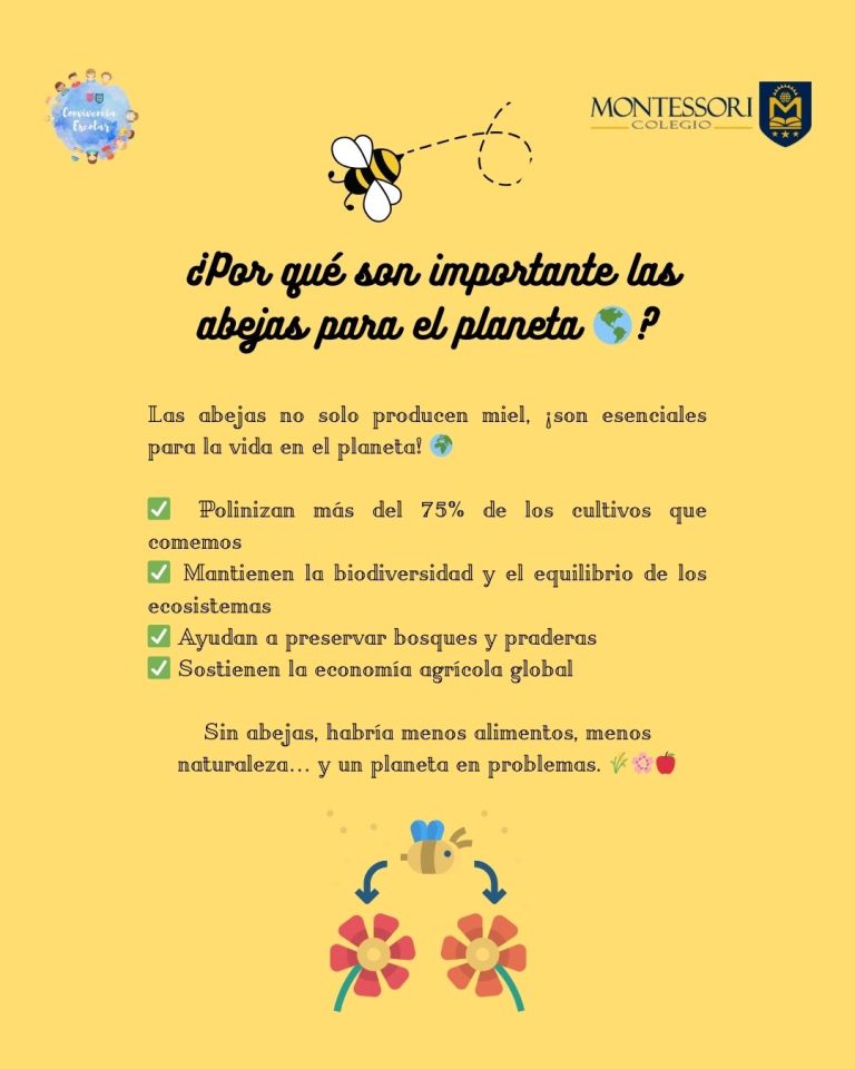 20 de Mayo: Día Mundial de las Abejas – Colegio Montessori de Temuco